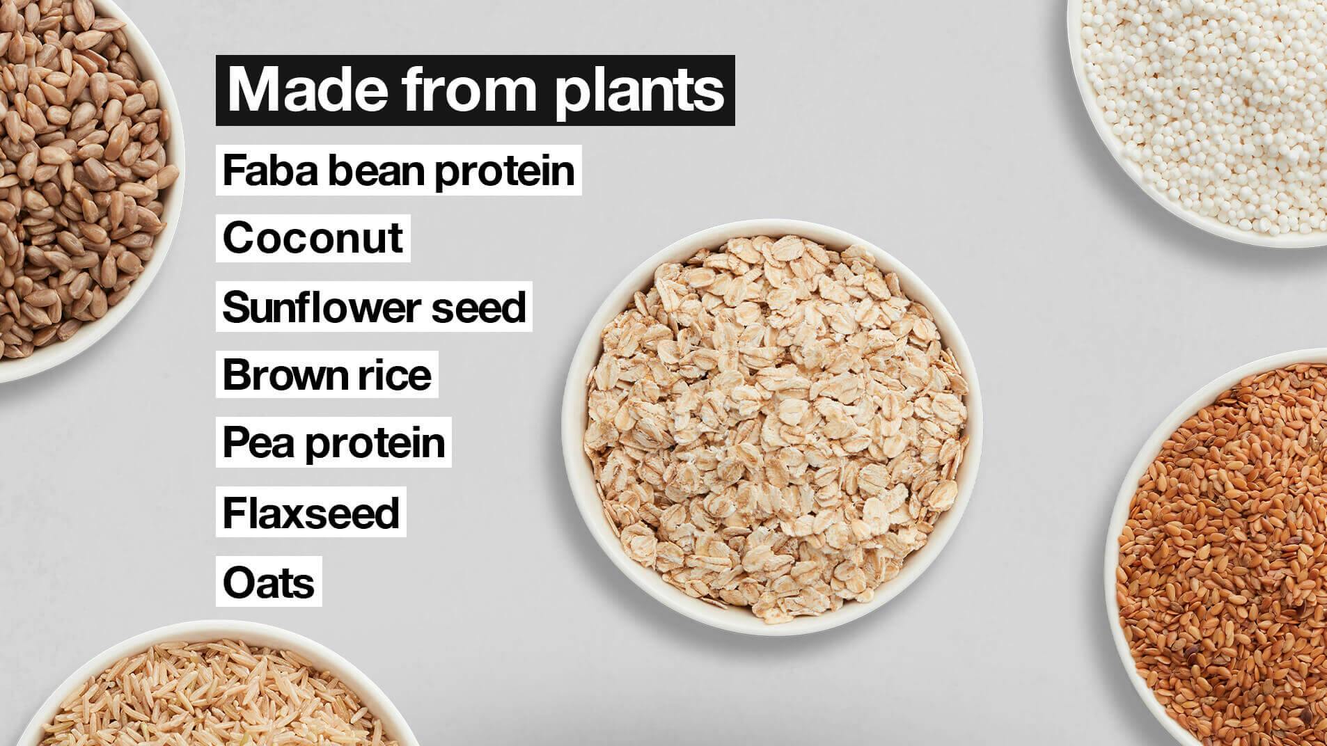 Huel Powdered Food - Fast food, not junk food